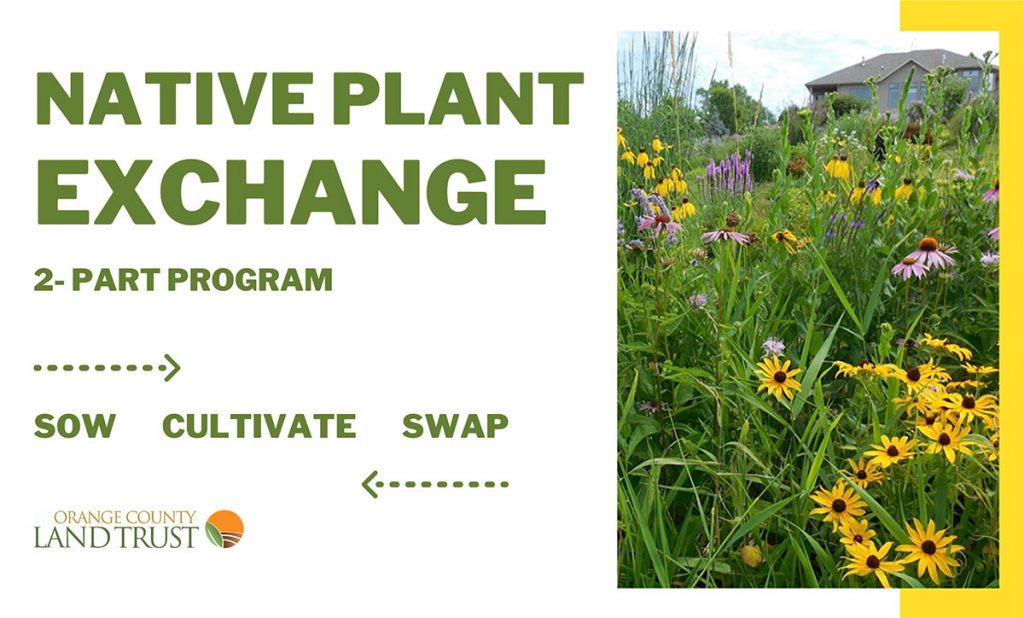 Native Plant Exchange Program – Orange County Land Trust